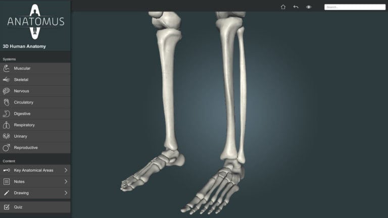 Anatomus | The Ultimate Human Online Anatomy